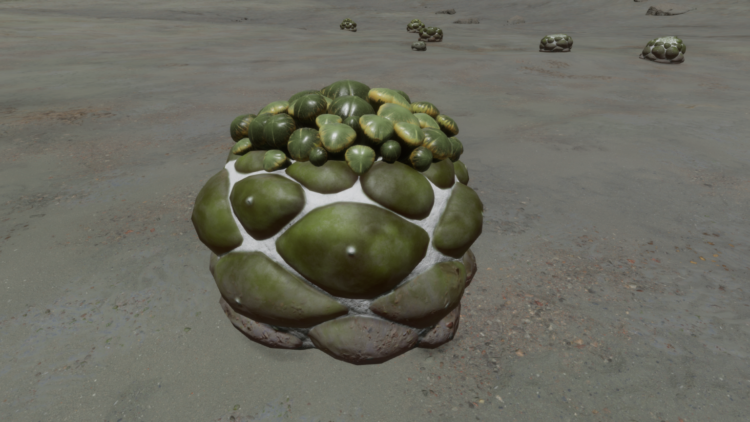 Cactoida - Deep Space Network